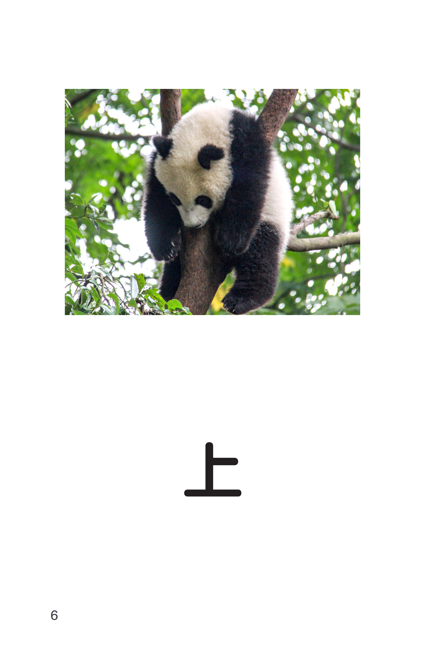 Chinese 1-2-Tree | Progressive leveled reading starts from 20 basic ...